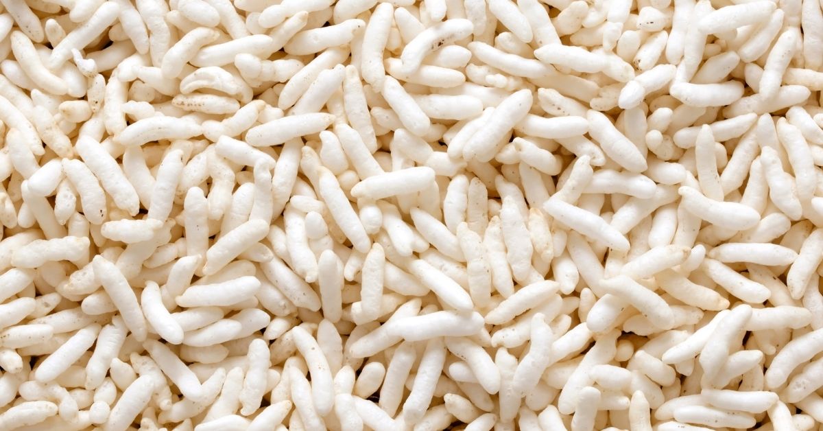 Can Rabbits Eat Rice? (Complete Guide For Rabbit Owners) - Petsmond