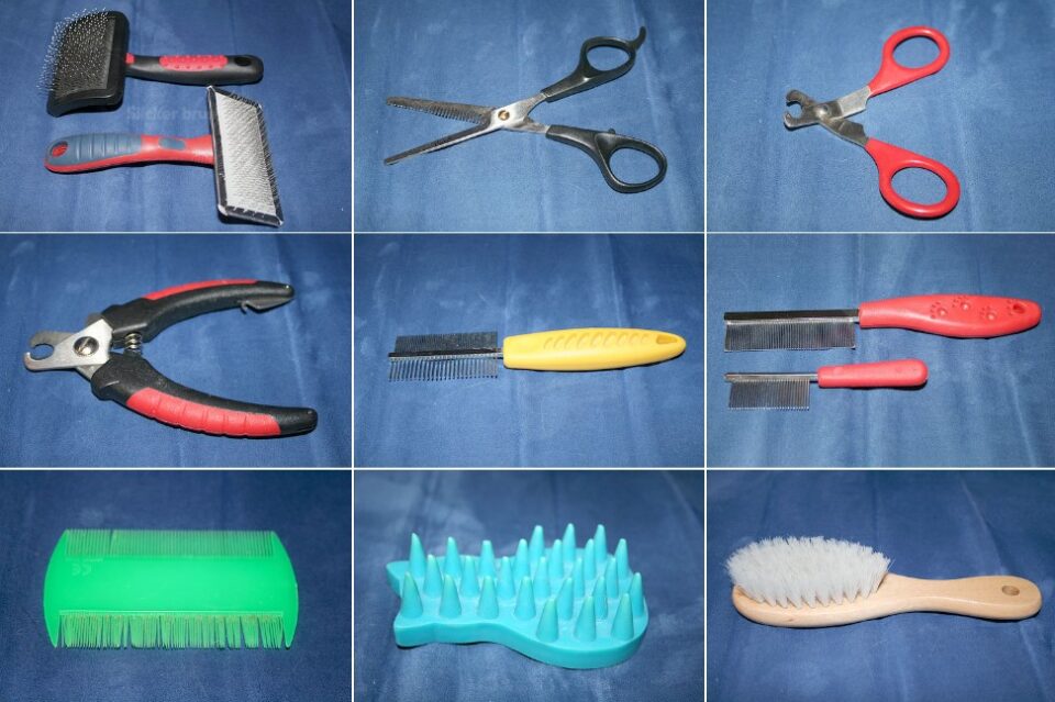 The Step By Step Guide To Trim Your Lionhead Rabbit’s Fur (Don't Miss ...